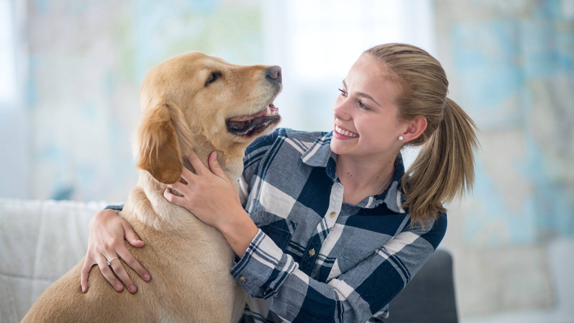 120 Questions To Ask A Dog Owner