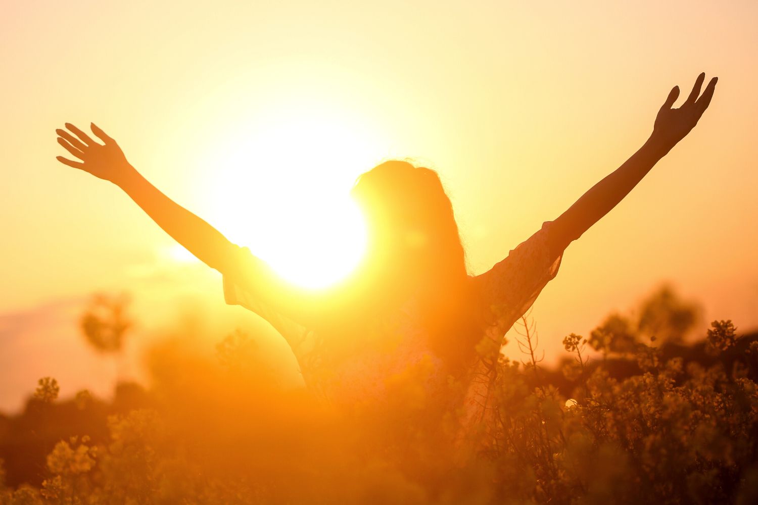 70 Best Idioms for Happiness
